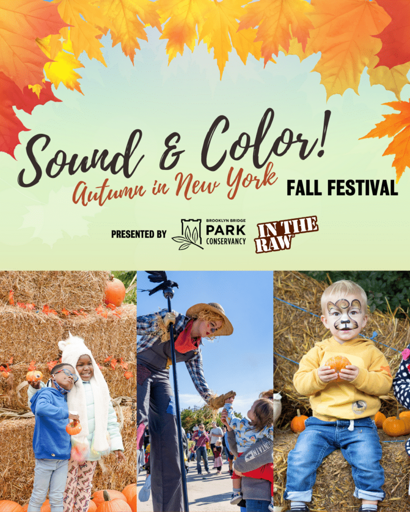 Sound & Color! Autumn in New York - Brooklyn Bridge Park