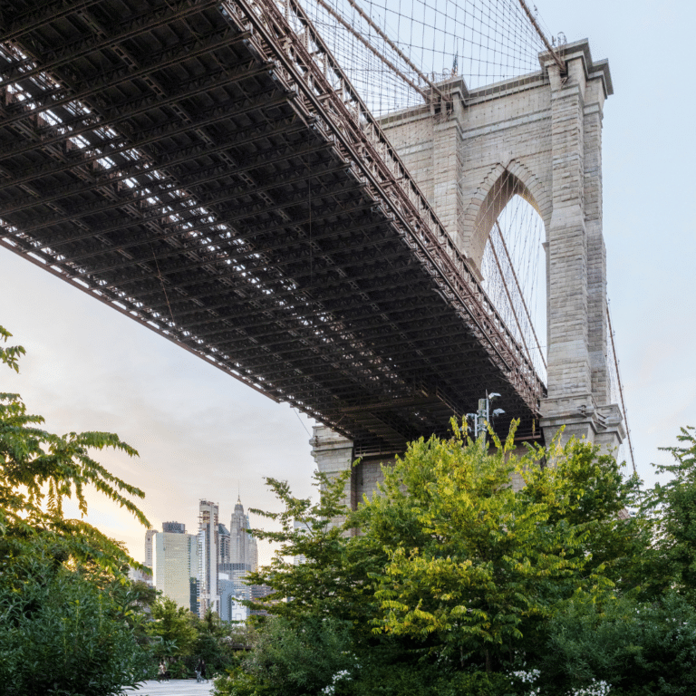 Brooklyn Bridge Park and Brooklyn Bridge Park Conservancy Announce ...